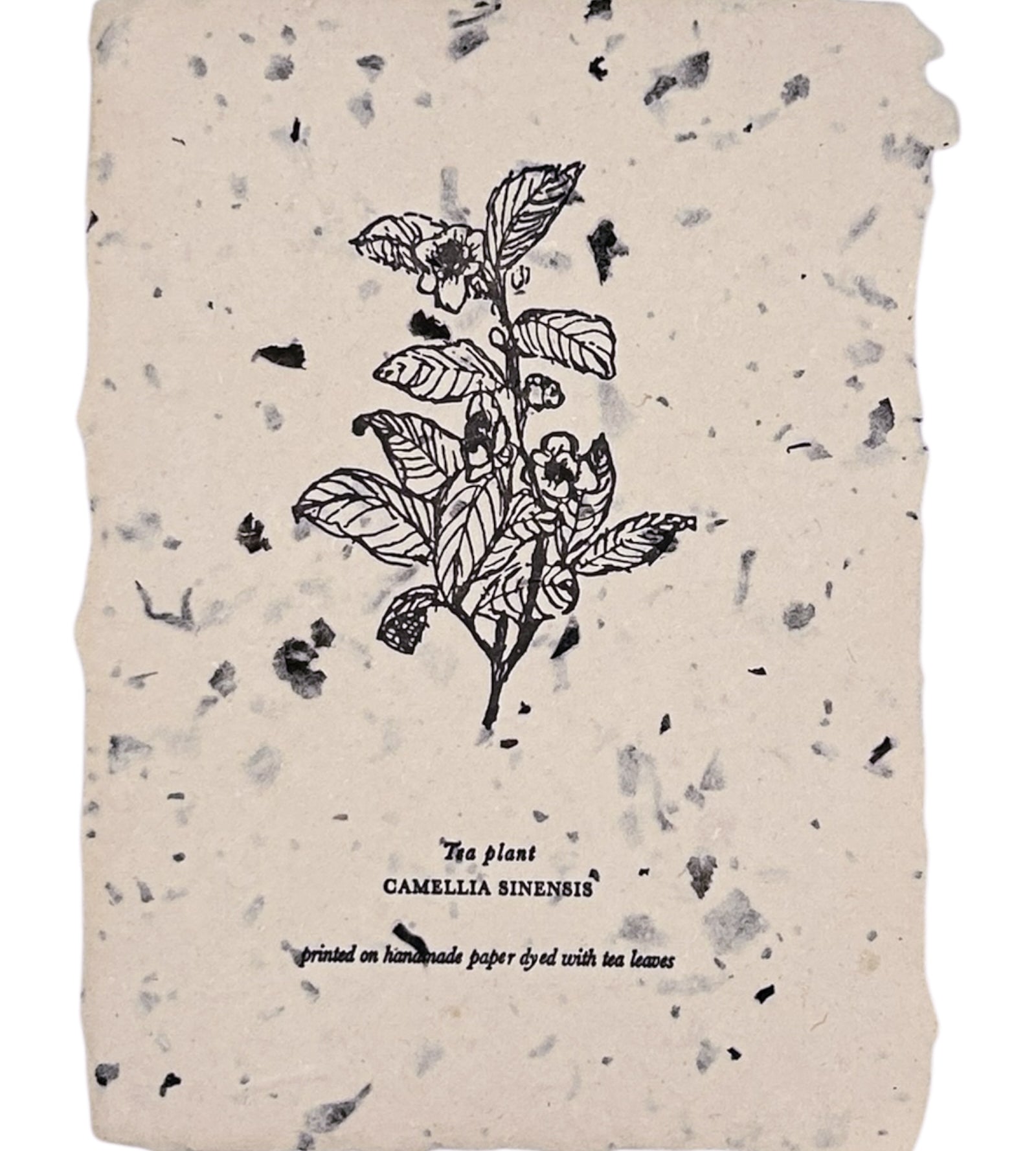 Art Prints – farmette co