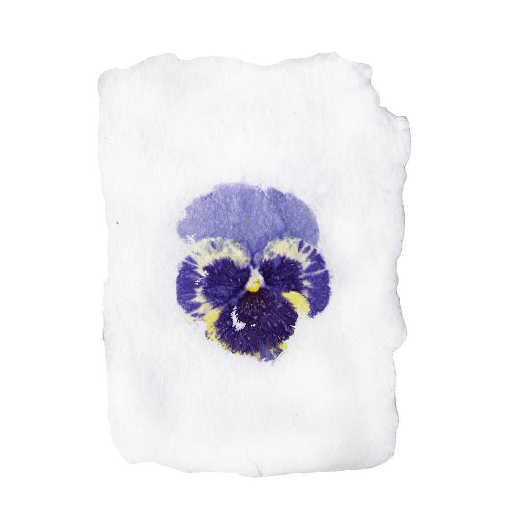 handmade paper pansy flower imprint note card – farmette co